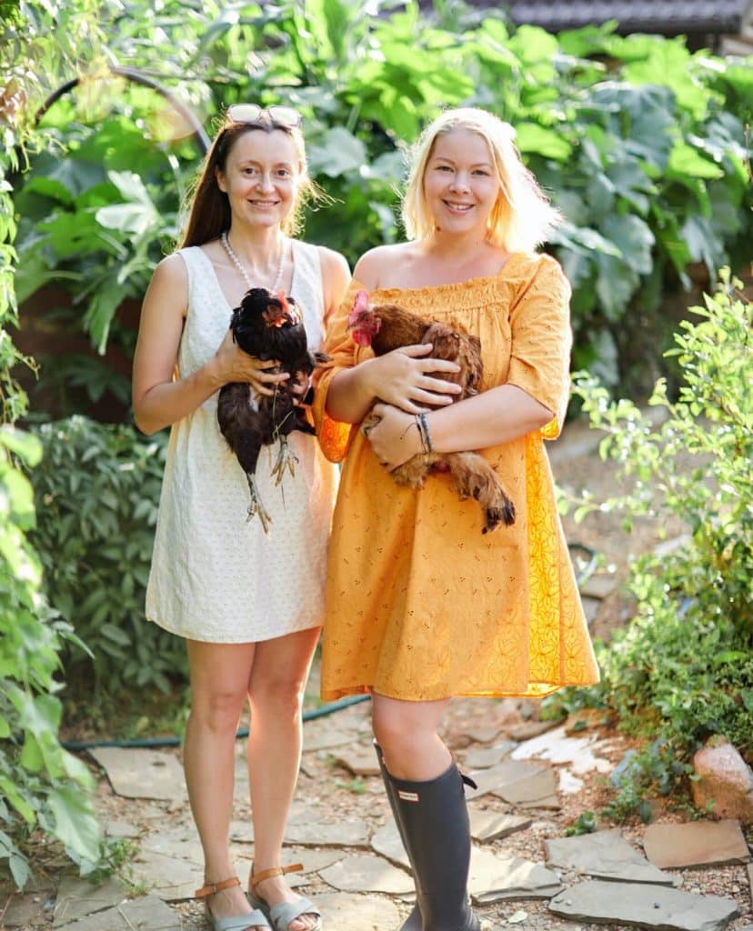 Frank's Swap - Jacob's Cave